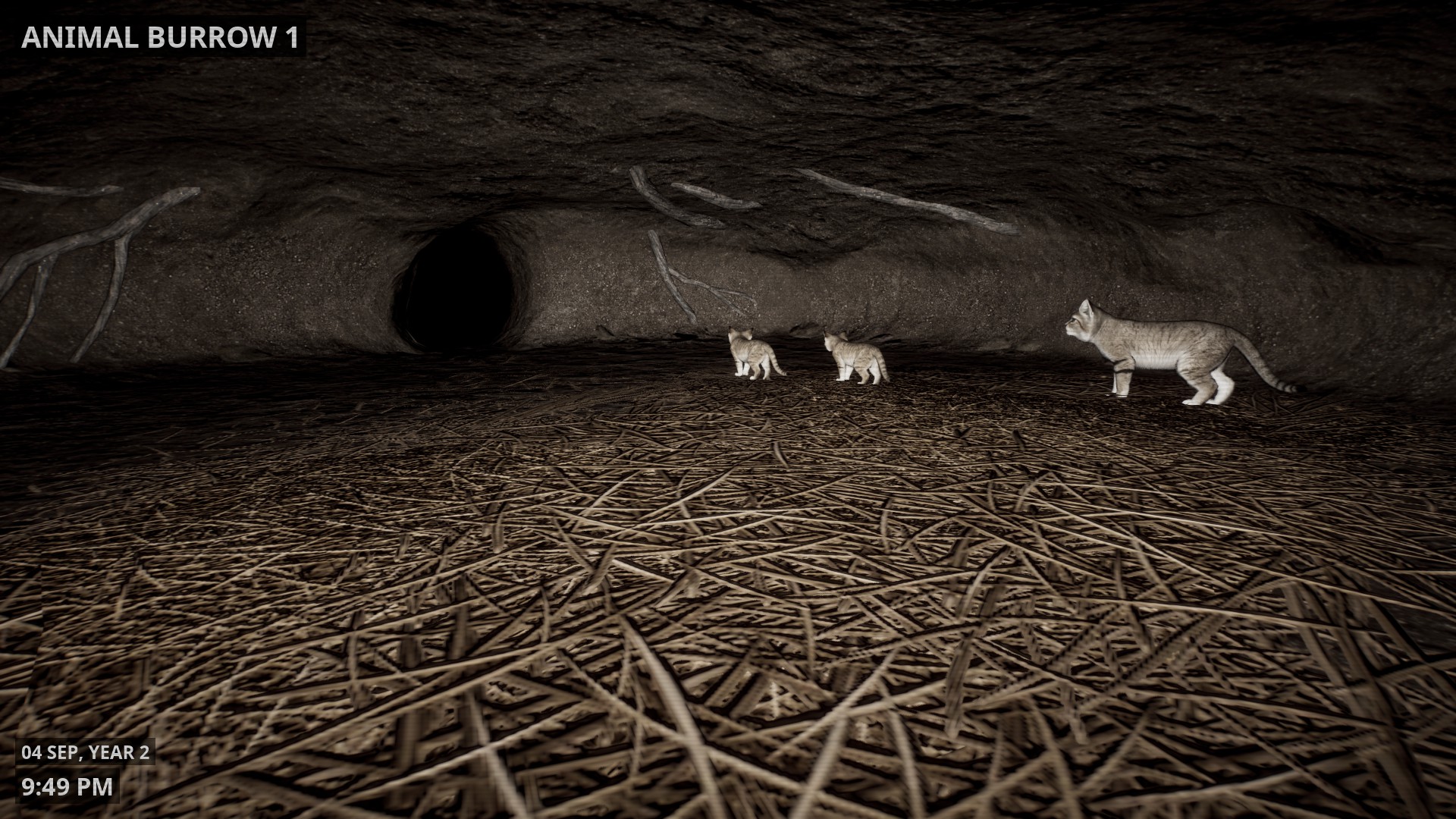 Planet Zoo: Arid Animal Pack Review - Rapid Reviews UK